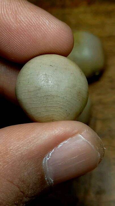 batu buah bambu puser bumi | Lazada Indonesia