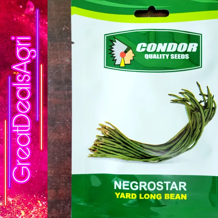 NEGROSTAR OPV YARD LONG BEANS SEEDS (10 GRAMS) CONDOR SEEDS | Lazada PH
