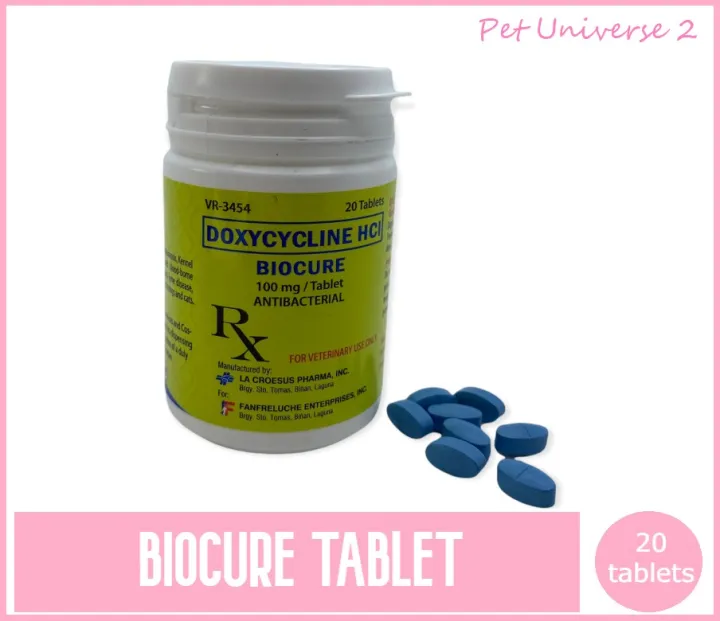 Happy Pets Biocure 20 tablets | Lazada PH