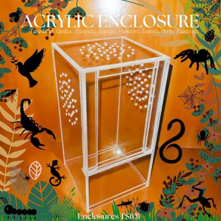 Hot Acrylic Enclosure Box Cage for Tarantula Scorpion Isopods Reptiles ...