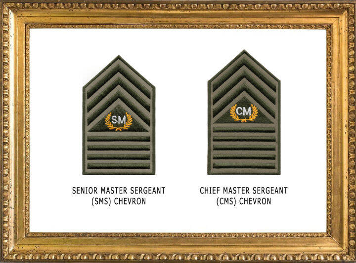 ARMY CHEVRON RANKS ( ARMY GOU RANKS ) PAIR ( 2 PCS. ) | Lazada PH