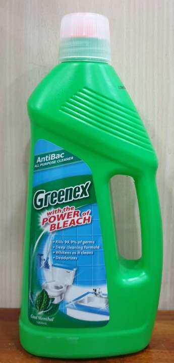 Greenex AntiBac with the Power of Bleach Cool Menthol Variant 1L ...