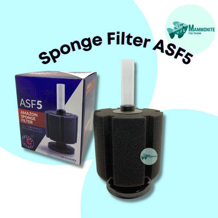 Aquarium Amazon ASF5 Sponge Filter Biochemical Filter Silent | Lazada PH
