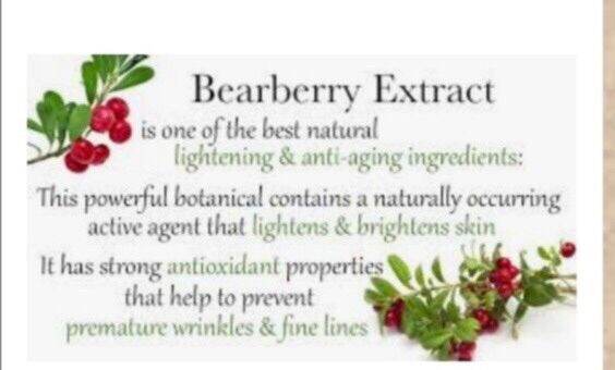 Bearberry Extract 50ml | Lazada PH