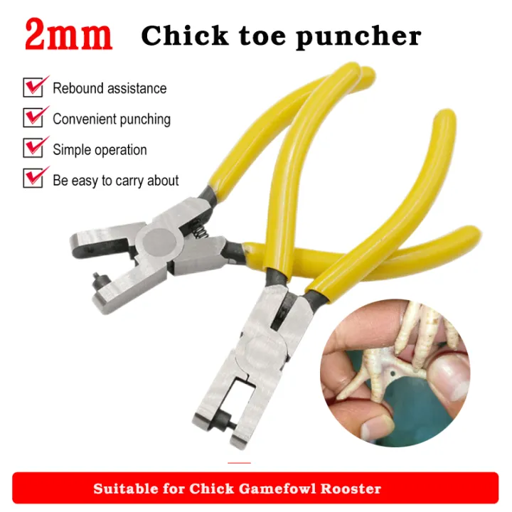 2mm Single Hose Punch Chick Toe Puncher for Gamefowl Rooster | Lazada PH