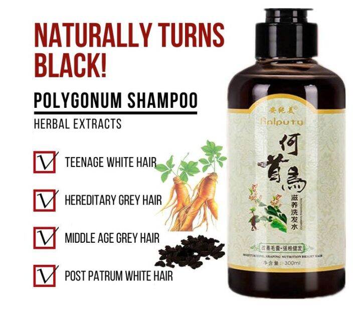 Polygonum Multiflorum Herb Shampoo | Plant Black Hair Shampoo | White ...