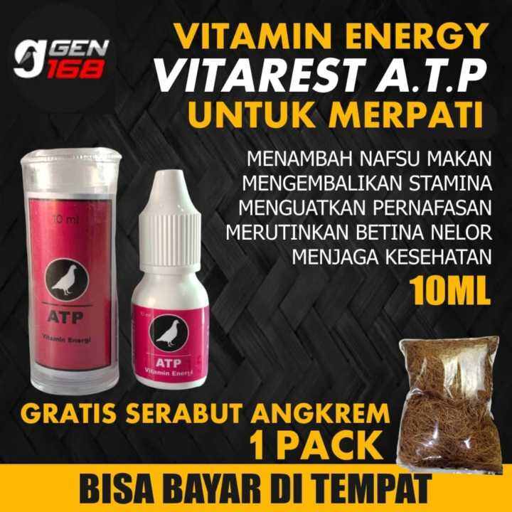 VITAMIN ENERGI MERPATI ATP VITARES VITAMIN MERPATI LOMBA | Lazada Indonesia