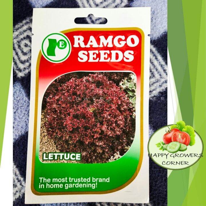 LETTUCE LEAFY LOLLO ROSSA (1 GRAM) RAMGO SEEDS | Lazada PH