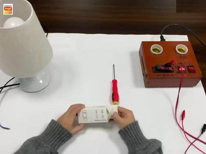 Tuya Smart Wifi Switch Mini Smart Breaker Smart Life รีโมทคอนลไร้สาย