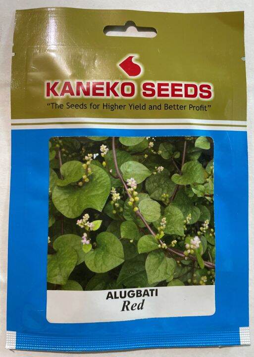 Alugbati Red (5grams) Kaneko Seeds | Lazada PH