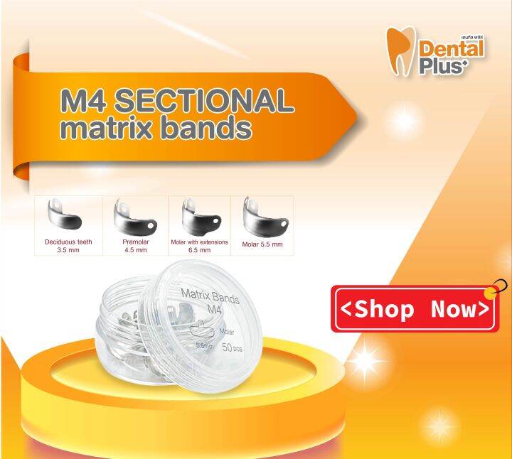 M4 SECTIONAL matrix bands | Lazada.co.th