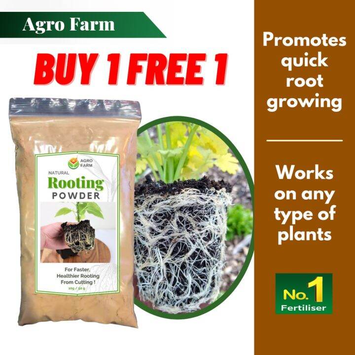♔Agro Farm Rooting Powder Penggalak akar pokok Rooting hormone powder ...
