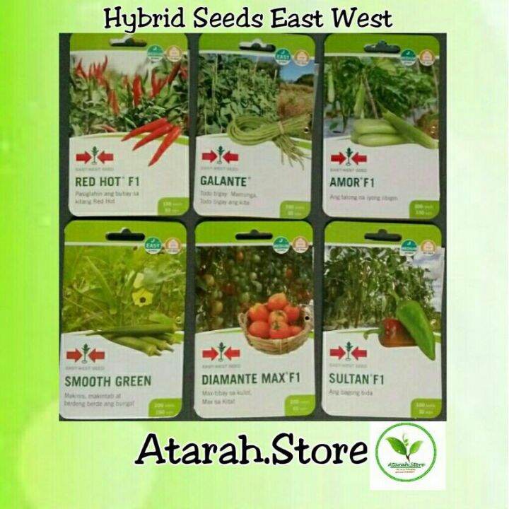 Hybrid Sili Sitaw Talong Okra Kamatis East West Seeds in Pack | Lazada PH