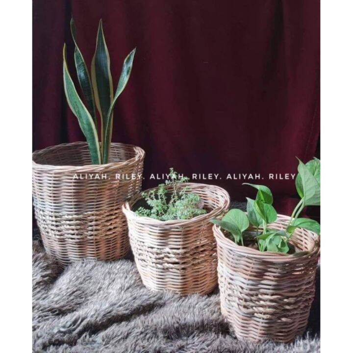 S M Planters Rattan Baskets Handwoven Native Storage Rattan Pots for ...