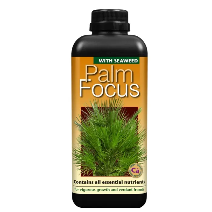 Growth Technology Palm Focus 1L (Palm Tree Liquid Compound Fertilizer ...