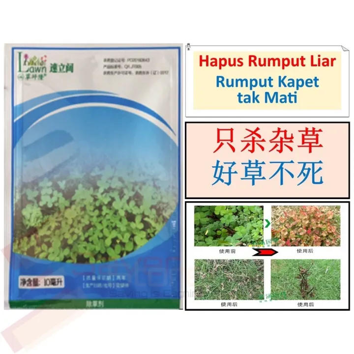 Turf weeding agent, gramineae lawn, Manila dog tooth root broadleaf weed herbicide, broadleaf ...