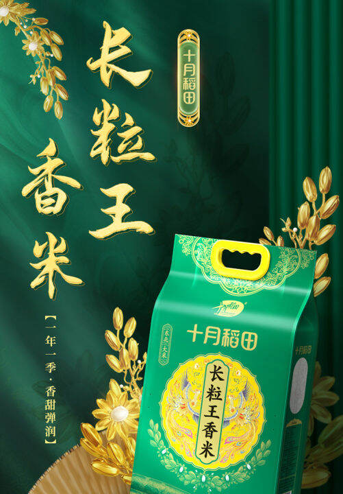 Authentic Cat Tooth Rice Thai Fragrant Rice Long grain fragrant rice ...