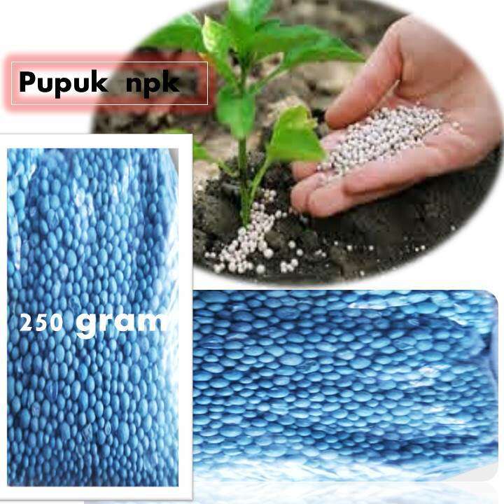 pupuk NPK mutiara kemasan 200 gram | Lazada Indonesia