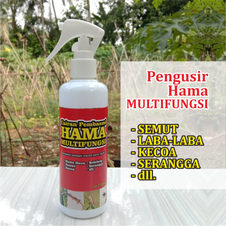 [bogorfarm] PEMBASMI & PENGUSIR HAMA MULTIFUNGSI | Hama Daun | Semut ...