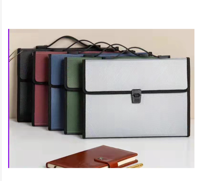 A4 Size 13 Pockets Expandable Document File Folder | Lazada PH