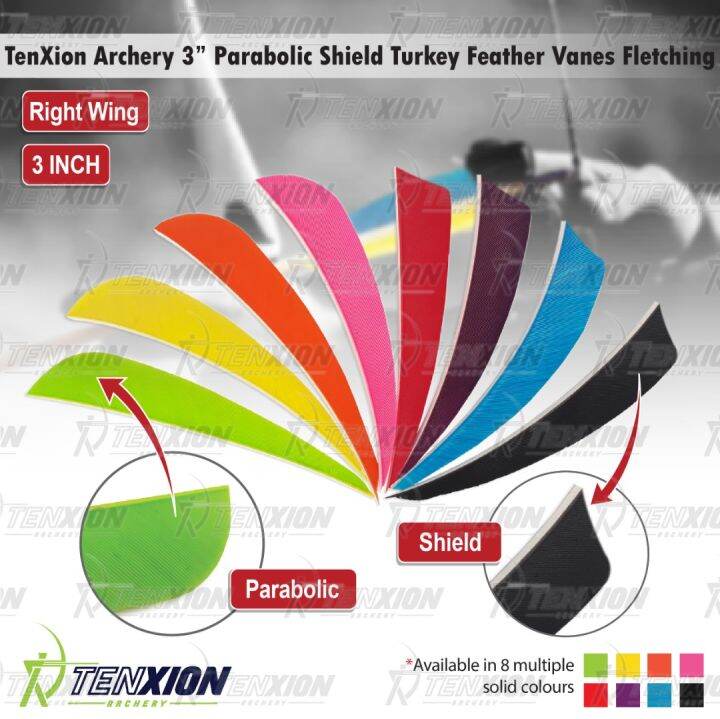 25 PCS TenXion Archery 3" Inci Shield Parabolic Turkey Feather Vanes ...