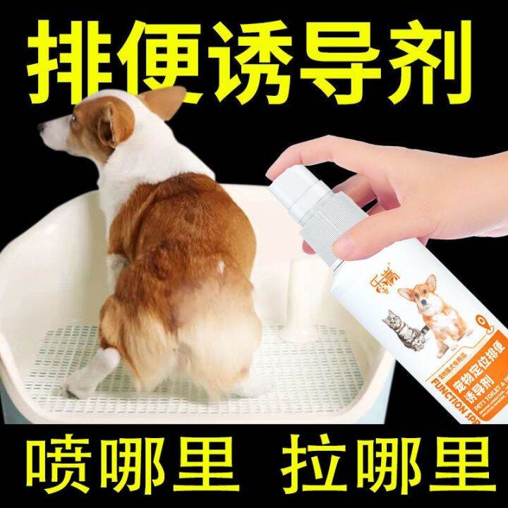 Dog toilet inducer fixed-point defecation defecation pee poop guide ...