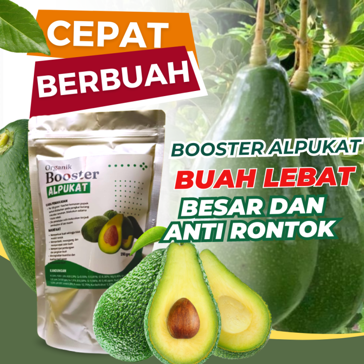 Pupuk Organik alpukat 250 grm/booster alpukat perangsang bunga dan buah/Pupuk pelebat buah ...