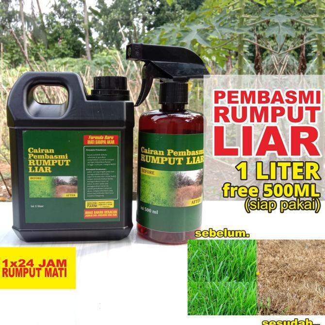 [bogorfarm]Cairan PEMBASMI RUMPUT LIAR ,GULMA,ILALANG 1L+500ML | Lazada ...