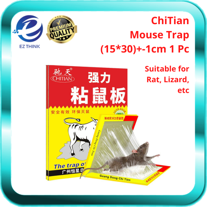 Mouse Trap Gam Tikus Papan Ekstra Lekat 老鼠贴 Tikus Papan Pelekat Gam ...