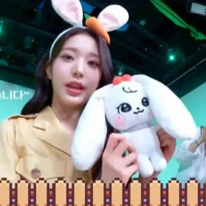 Ive minive plush Ive doll minive Kpop push toy ganganji Dal-e REI Naori ...