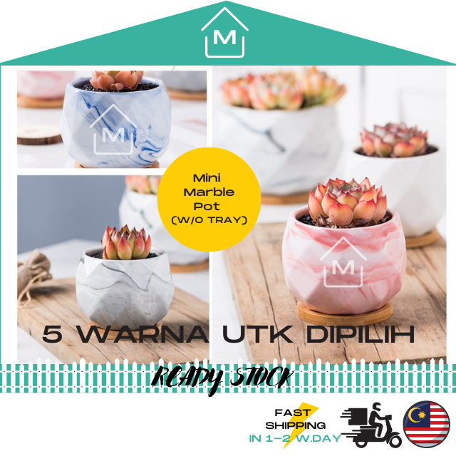 [MINI] Marble Style Ceramic Pot Faceted Color Succulent Plant Cactus ...