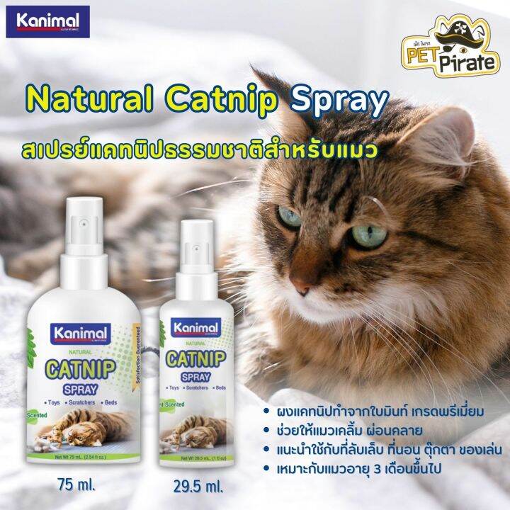Kanimal Natural Catnip Spray สเปรย์แคทนิปธรรมชาติ เพื่อความฟิน ...