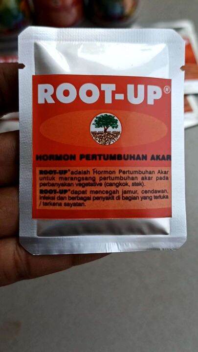 Root-Up/Rootup Perangsang Akar Setek/Cangkok (Repack 10gr) | Lazada ...