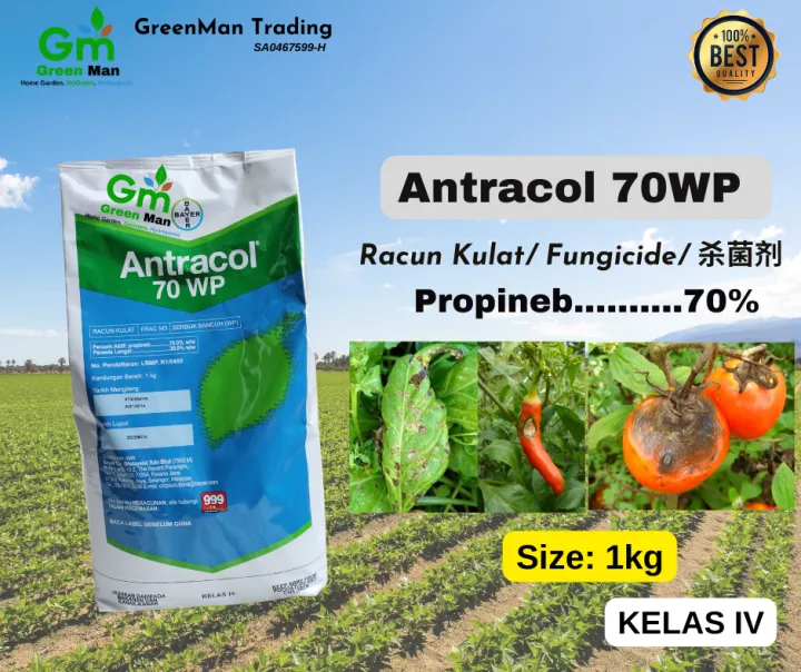 1kg Antracol Propineb 70WP Racun kulat / Fungicide / 菌粉药- Bayer | Lazada