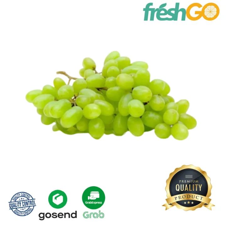 Anggur Autumn Hijau Fresh dan Manis |FreshGO Indonesia - 1/2 kg ...