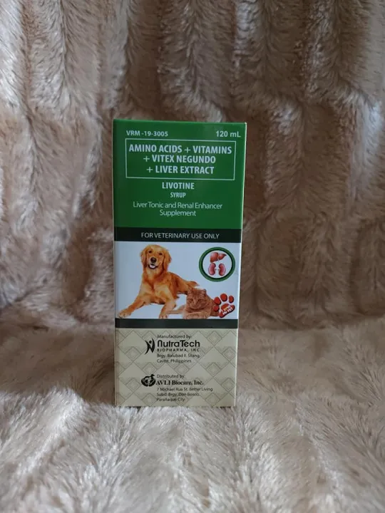 Livotine Syrup 120mL (Liver Tonic and Renal Enhancer Supplement ...