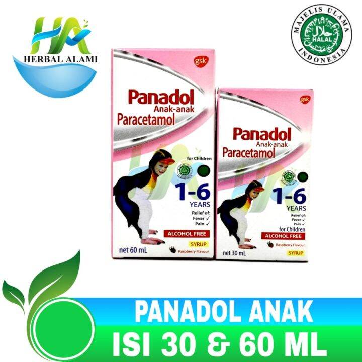 Panadol Anak Anak Paracetamol Syrup Untuk 1- 6 tahun | Lazada Indonesia