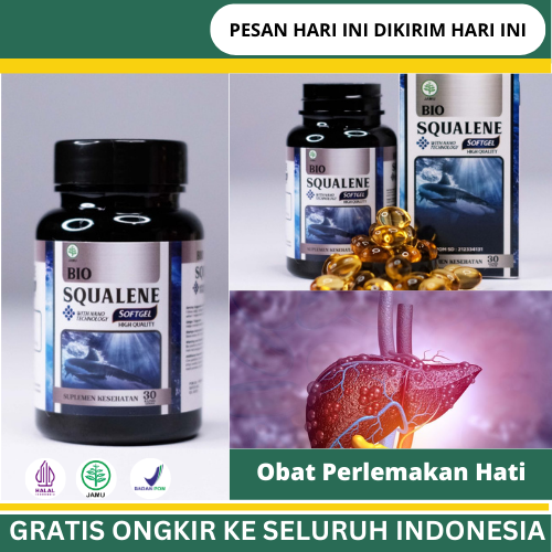 Obat Perlemakan Hati, Obat Penghancur Fatty Liver, Obat Untuk ...