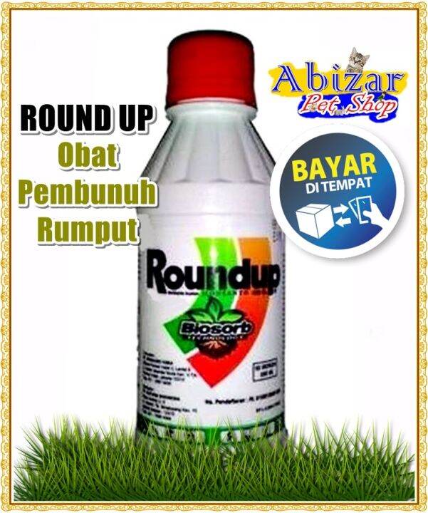 Obat Pembasmi Rumput Liar Obat Herbisida Buatan Untuk Membunuh Rumput ...