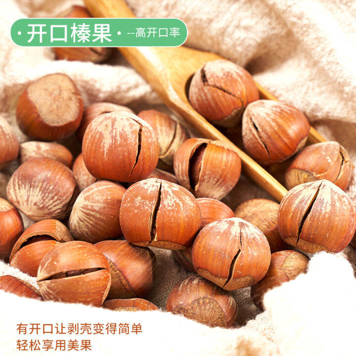 (SPOT) Open Ended Large Hazelnut Plain Fried Nut Snack 25g | Lazada PH