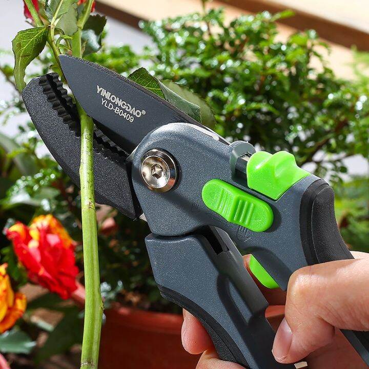 Plant trim horticulture Hand pruner cut secateur Shrub Garden tool ...