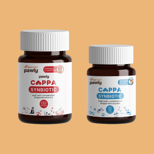 พอลลี่ แคปป้า Pawly Cappa (สำหรับสุนัขเล็ก กลาง ขนาดใหญ่)แอคทีฟซินไบโอติก ฟื้นฟูระบบทางเดินอาหาร ...