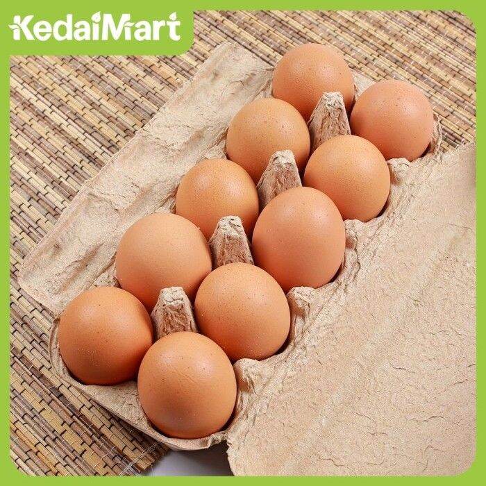 Telur Ayam Negeri Pack | Lazada Indonesia