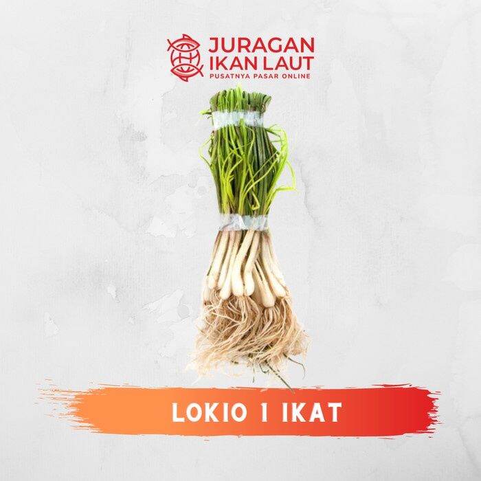Lokio Segar Berkualitas - 1 Ikat | Lazada Indonesia