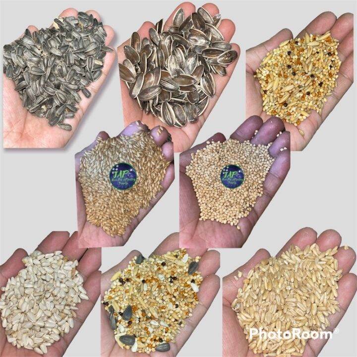 Bird Seeds African Mix Canary Mix Repacked 1kg. | Lazada PH