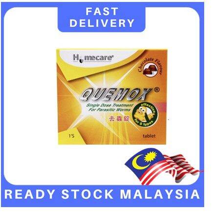 Y.S.P QUEMOX WORM ( 1PCS) | Lazada