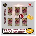 TEBS Sparkling Mix Fruit Can | Minuman Teh Soda Kaleng - 330 ml ...