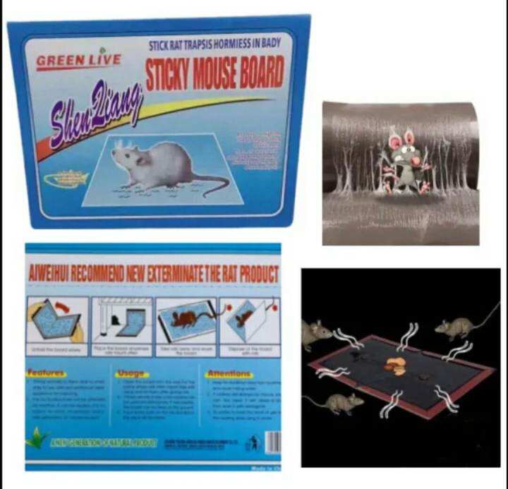 Stick Rat Trapsis Hormiess In Bady/ Sticky Mouse Board | Lazada PH