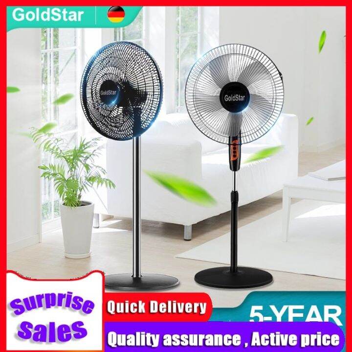 Gold Star Buy 1 Take 1 Electric Fan 16 Inch Portable Stand Fan Wall Fan ...