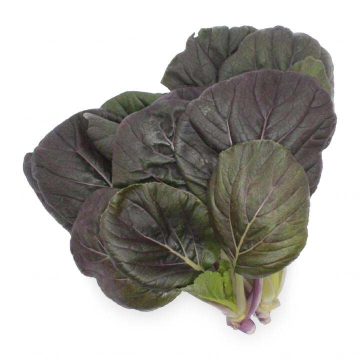 S. Veggies Red Bok Choy - Pesticides-Free | Lazada Singapore